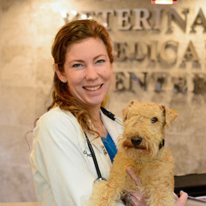 Meet Our Vets | Veterinary Medical Center of Easton