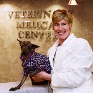 Meet Our Vets | Veterinary Medical Center of Easton